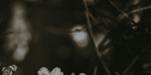 Pain Wizard - Fast Acting Pain Relieving Cream - Xanadu Med Spa