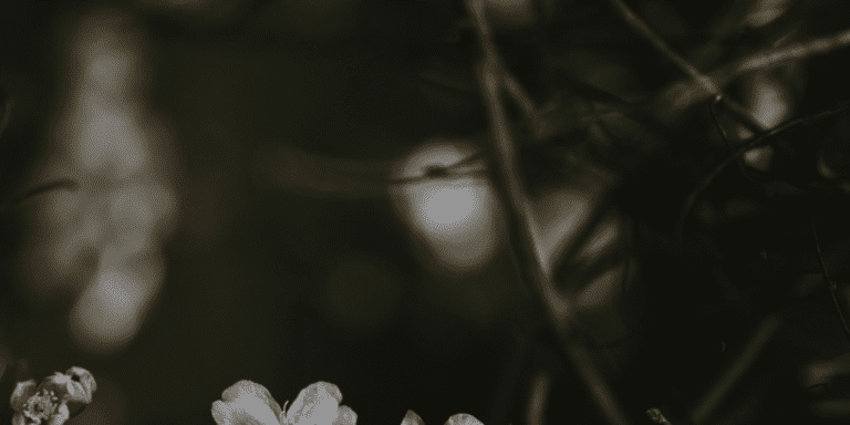 Pain Wizard - Fast Acting Pain Relieving Cream - Xanadu Med Spa